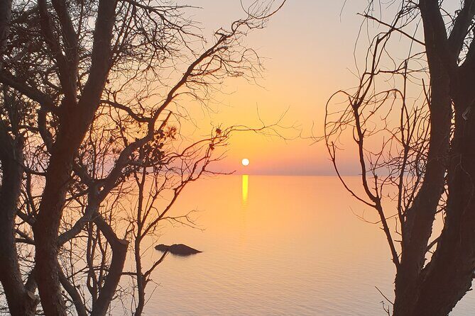 Naturalistic excursion to Ustica - Why is this Tour a Good Value?