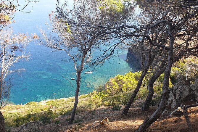 Naturalistic excursion to Ustica - Final Thoughts