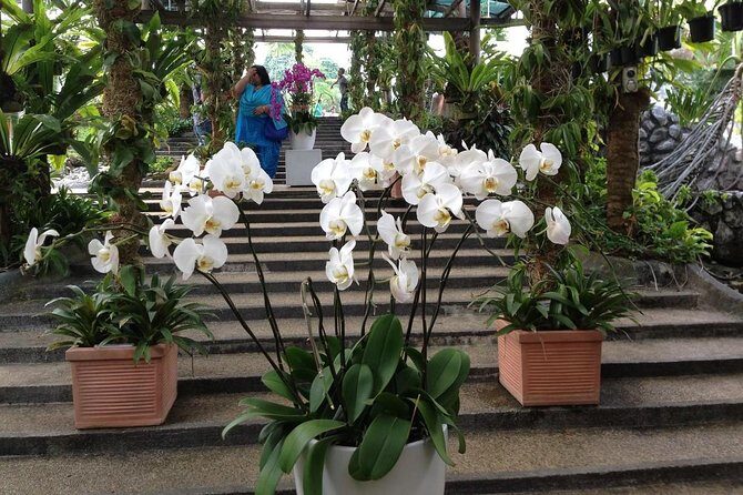 Nature And Gardens Tour From Kuala Lumpur - Authentic Experiences and Authenticity