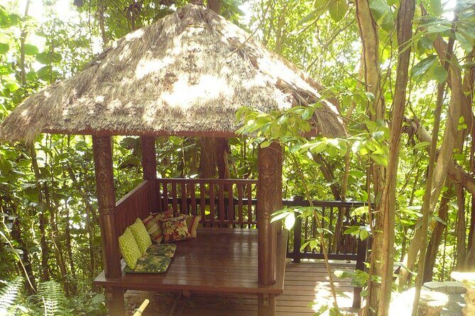 Nature and Sightseeing at Phantasea Tropical Botanical Garden - Who Should Consider This Tour?