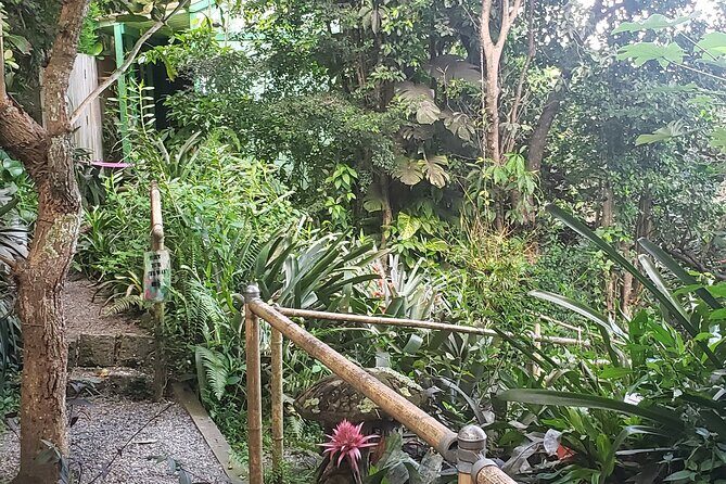 Nature and Sightseeing at Phantasea Tropical Botanical Garden - The Sum Up
