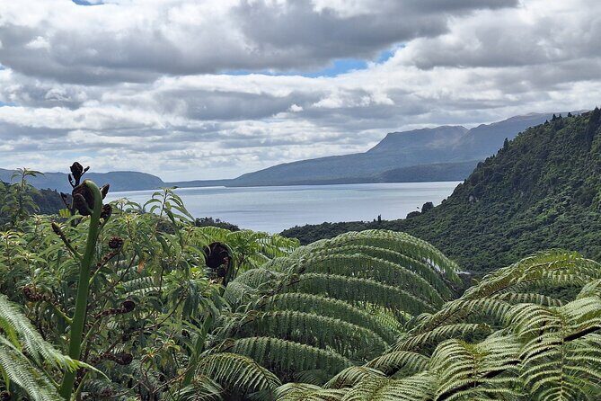Nature at its best Lake Tarawera Treetop Walk and Forest Spas - Key Points