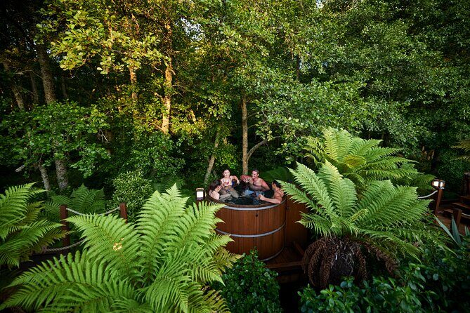 Nature at its best Lake Tarawera Treetop Walk and Forest Spas - The Experience Providers and Practical Details
