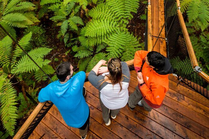 Nature at its best Lake Tarawera Treetop Walk and Forest Spas - Authentic Feedback from Past Travelers
