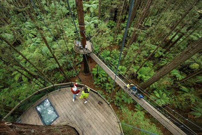 Nature at its best Lake Tarawera Treetop Walk and Forest Spas - Frequently Asked Questions