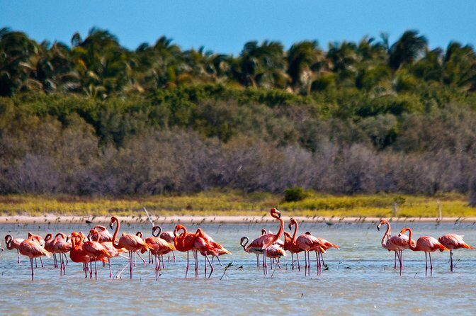 Nature Combo Oviedo Lagoon & Bahia de las Aguilas - A Detailed Look at the Tour Experience