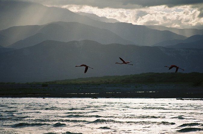 Nature Combo Oviedo Lagoon & Bahia de las Aguilas - FAQ