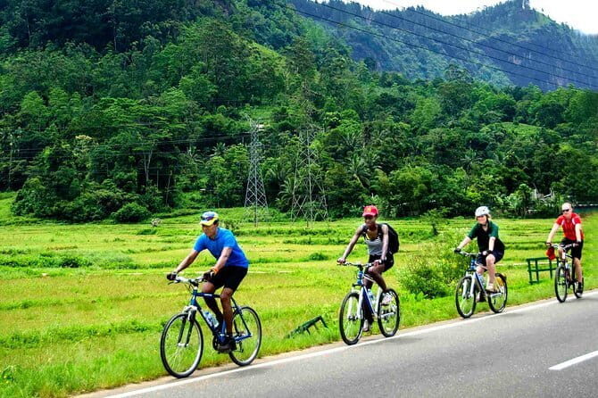 Nature cycling trail: paddy fields, cinnamon forests and villages Galle - Discover the Charm of Galle on a Nature Cycling Trail