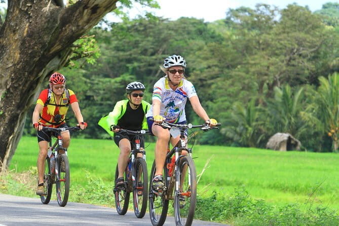 Nature cycling trail: paddy fields, cinnamon forests and villages Galle - Key Points