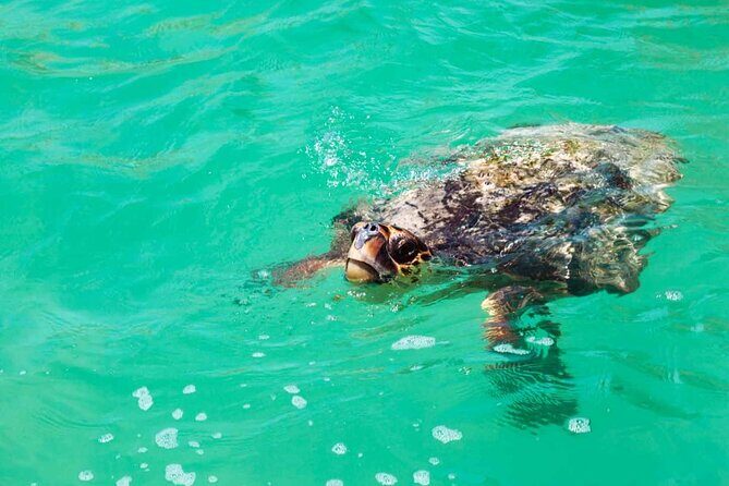 Nature Day, Sian Kaan Biosphere Tour! Round Transportation from Tulum City - Is This Tour Worth the Price?