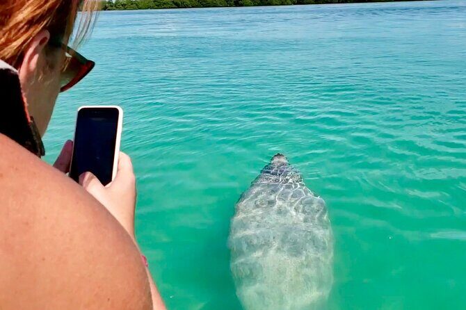 Nature Day, Sian Kaan Biosphere Tour! Round Transportation from Tulum City - Who Will Love This Tour?