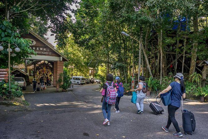 Nature Excursion in Borneo Tropical Rainforest Resort - Key Points