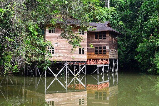 Nature Excursion in Borneo Tropical Rainforest Resort - Why This Tour Works for Different Travelers