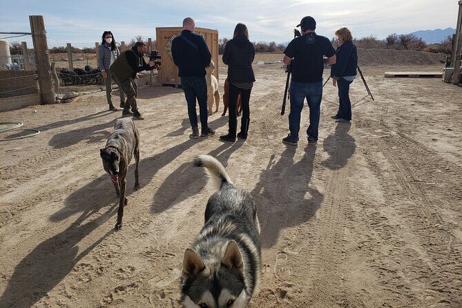 Nature Health Farms Alpaca Farm Petting Zoo Pahrump Death Valley - The Sum Up: Who Should Visit?