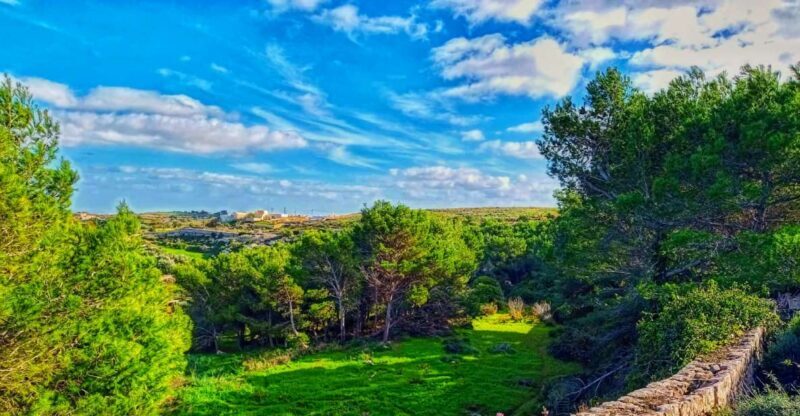 Nature Highlights Private Walking Tour with Transport - An In-Depth Look at What You’ll See