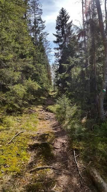 Nature Hike from Stockholm - A Thorough Look at the Experience