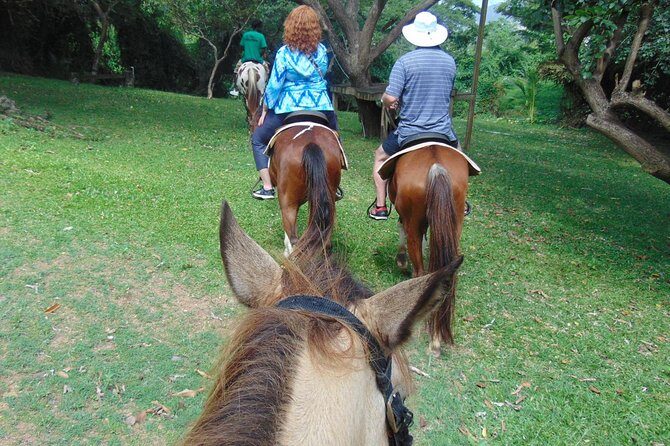 Nature & Historical Horseback Riding Tours St. Lucia - Practical Tips for Travelers