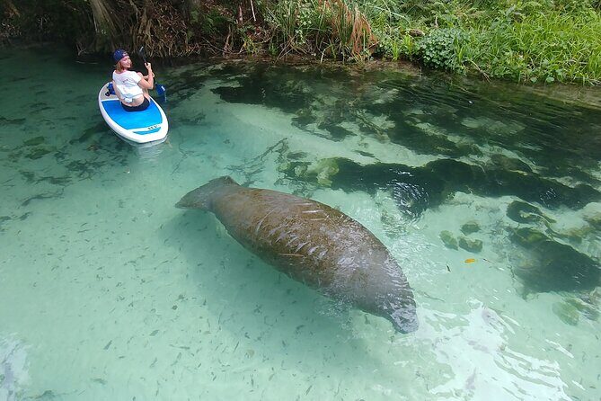 Nature & Island Exploration on SUP/Kayak - Discover Miami’s Natural Hidden Corners with SUP and Kayak