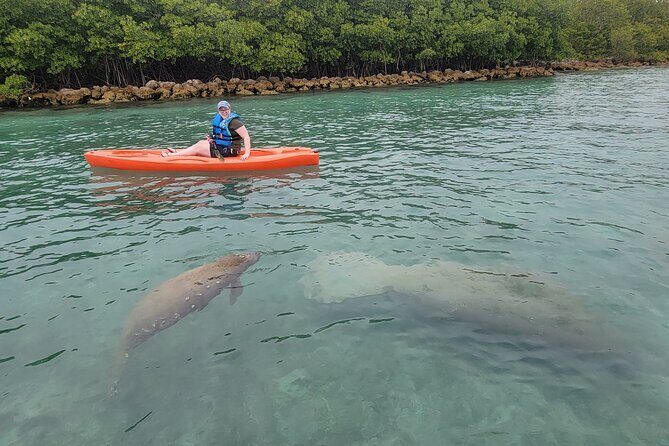 Nature & Island Exploration on SUP/Kayak - Key Points