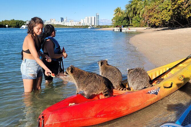 Nature & Island Exploration on SUP/Kayak - Who Should Consider Booking?