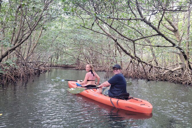 Nature & Island Exploration on SUP/Kayak - Final Thoughts: Is It Worth It?