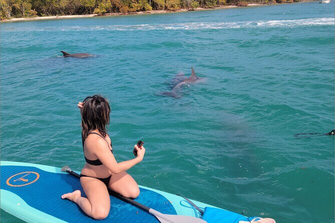 Nature & Island Exploration on SUP/Kayak - FAQs