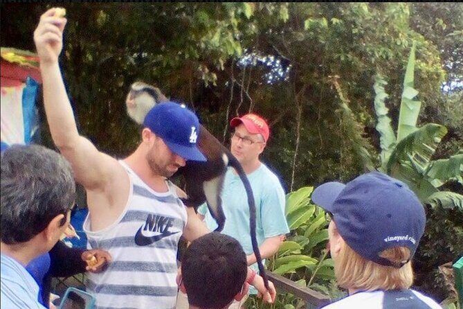 Nature Lovers: Grand Etang Lake & Annandale Falls - Final Thoughts