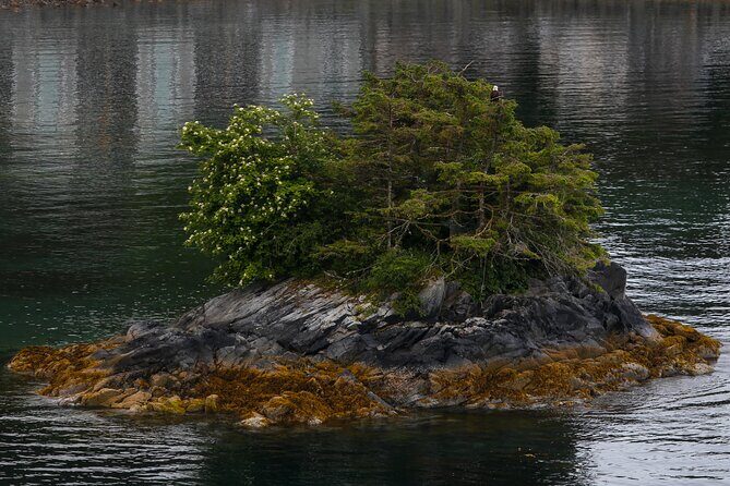 Nature Lovers Sitka Hiking Tour / Beaches, Trails + Scenic Points - The Sum Up