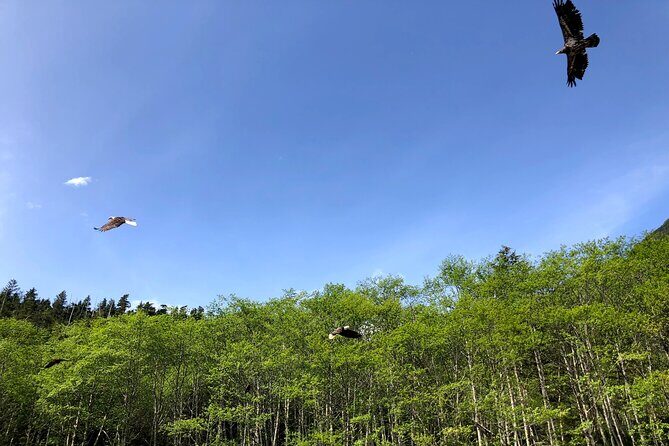 Nature Lovers Sitka Hiking Tour / Beaches, Trails + Scenic Points - FAQ