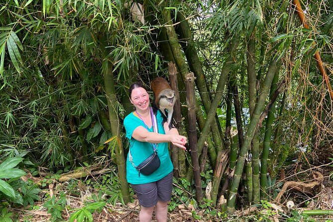 Nature Lovers: Taste of Grenada Private Tour - Who Is This Tour Best For?