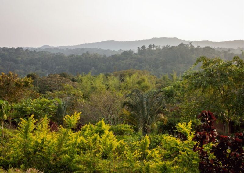 Nature & Spiritual Trails of Coorg (Guided Walking Tour) - FAQ