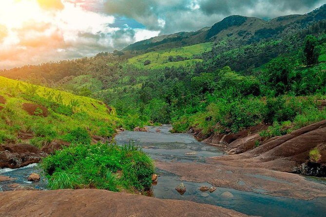 Nature Sri Lanka - An In-Depth Look at the Tour: What You Can Expect