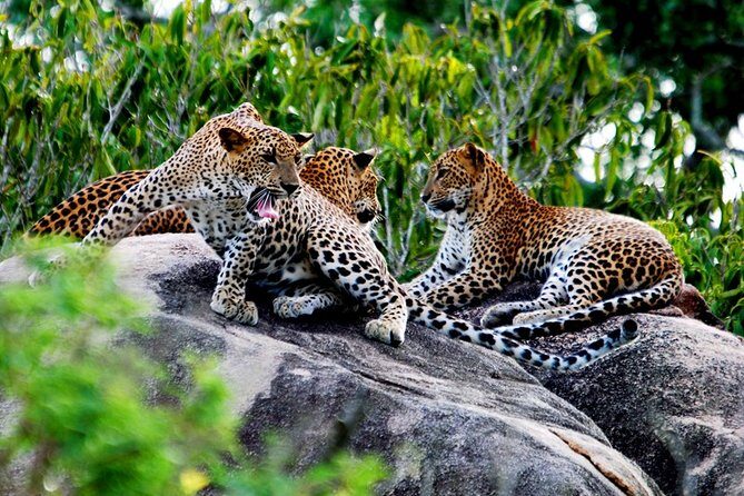 Nature Sri Lanka - FAQ