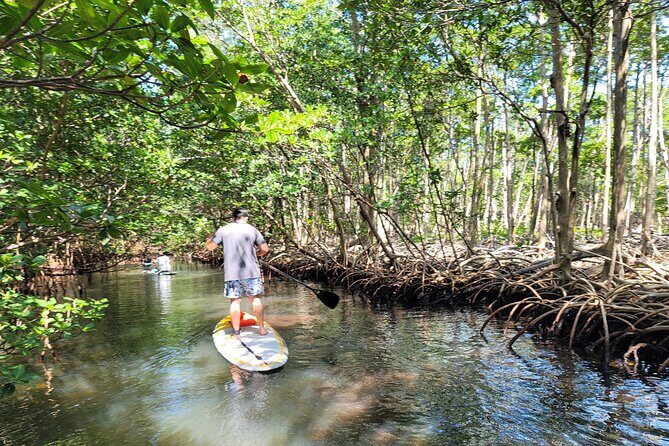 Nature Stand Up Paddle Boarding Experience in Miami - Discover Miami’s Natural Side on a Paddleboard