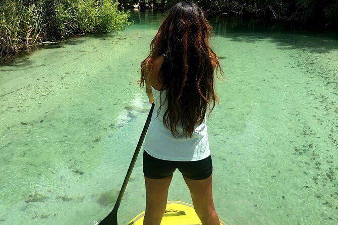 Nature Stand Up Paddle Boarding Experience in Miami - The Group and Guides: Personal & Professional