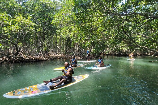 Nature Stand Up Paddle Boarding Experience in Miami - The Tour Provider: Vanessa Champion