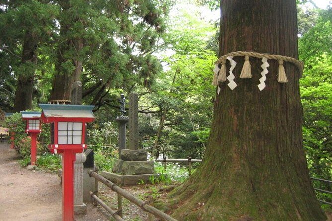 Nature tour at Mt. Takao - Who Is This Tour For?
