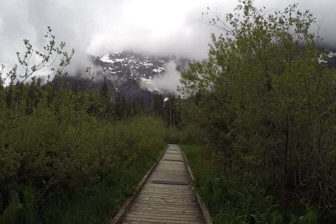 Nature Tour/Hike - The Experience: What to Expect