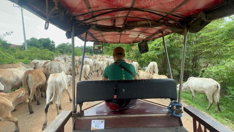 Nature tour through Battambang/Local area and landmarks - A Deep Dive into the Experience