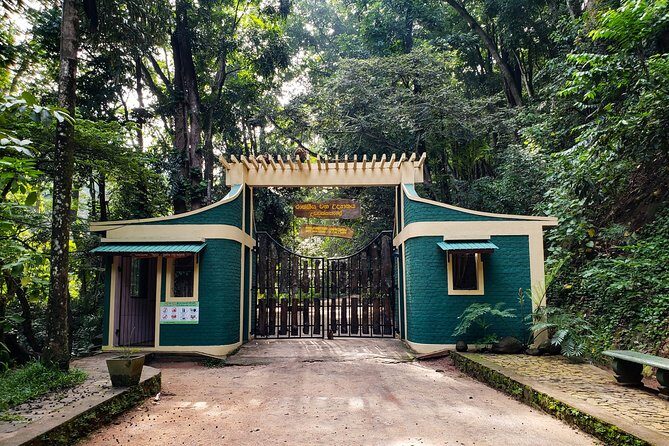 Nature Tour to Udawatte Kele Sanctuary, Kandy from Bentota - An In-Depth Look at the Udawatte Kele Nature Tour