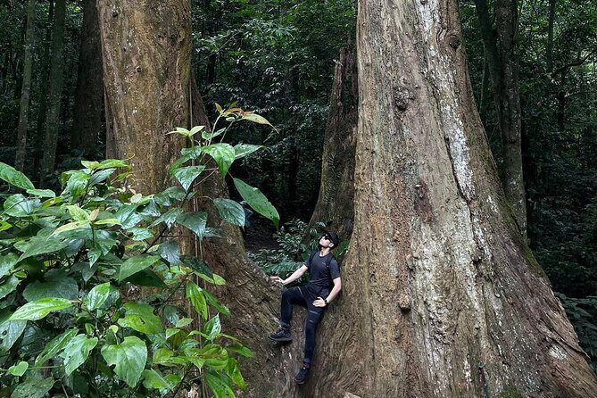 Nature Trails & Guided Adventures in Cuc Phuong National Park - Potential Drawbacks