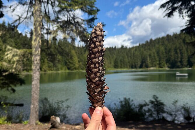 Nature Walk - Key Points