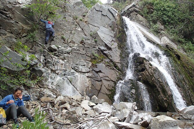 Nature Walk/Hike Tour near Disneyland: ID plants & wildlife - The Itinerary in Detail: An Adventure for All Senses