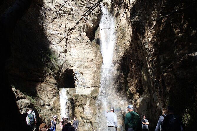 Nature Walk/Hike Tour near Disneyland: ID plants & wildlife - The Practical Side: Pricing, Duration, and Value
