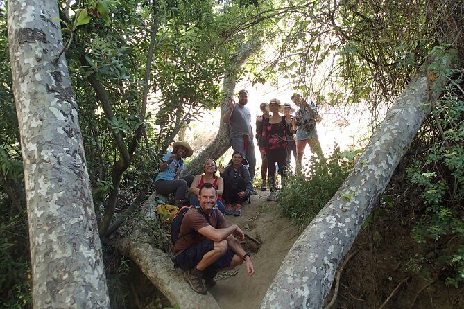Nature Walk/Hike Tour near Disneyland: ID plants & wildlife - Final Thoughts: Who Will Love This Tour?
