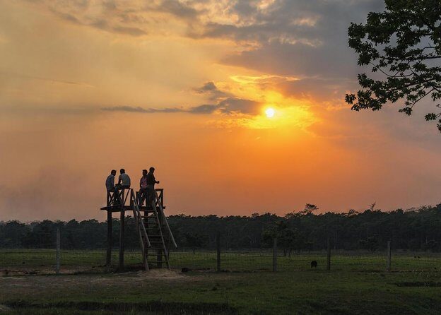 Nature Walk in Chitwan Jungle Safari with Guide - Introduction