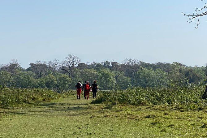 Nature Walk in Chitwan Jungle Safari with Guide - Exploring Chitwan’s Natural Wonders
