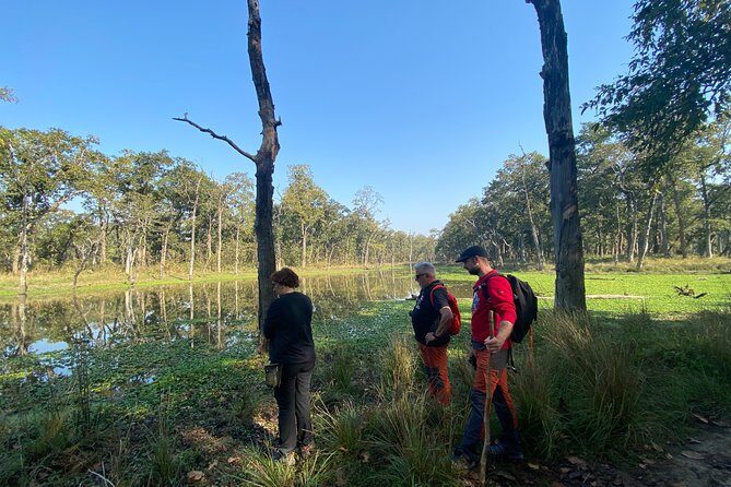 Nature Walk in Chitwan Jungle Safari with Guide - The Authentic and Practical Experience