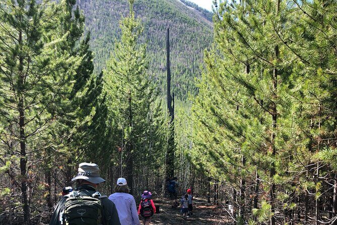 Nature Walk in Glacier National Park - Starting Out: Meeting at Glacier Guides & Montana Raft