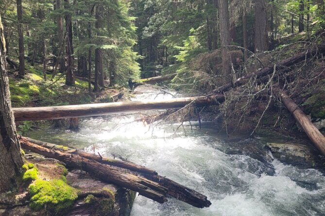 Nature Walk in Glacier National Park - Wrapping Up: Returning in the Early Afternoon